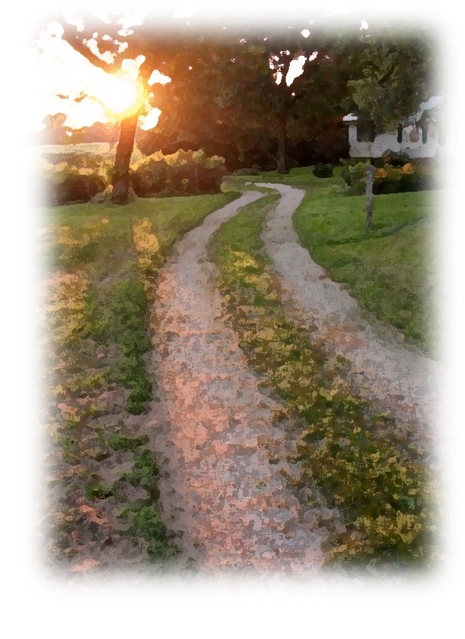 Homecoming: A Journey to the Heart of the Gospel… and Our “True Selves”