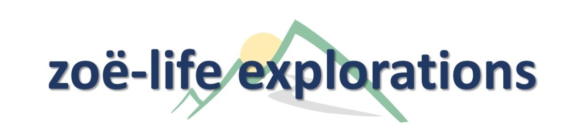 Zoe-Life Explorations – "our greatest challenge is not adding more ...